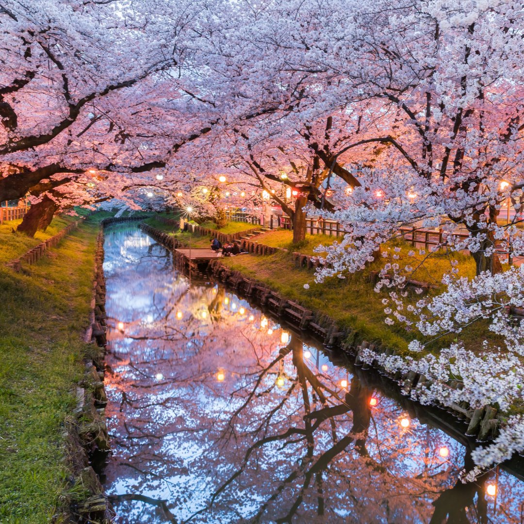 LuxeVoyage Cultural Immersion™ – LuxeVoyage™